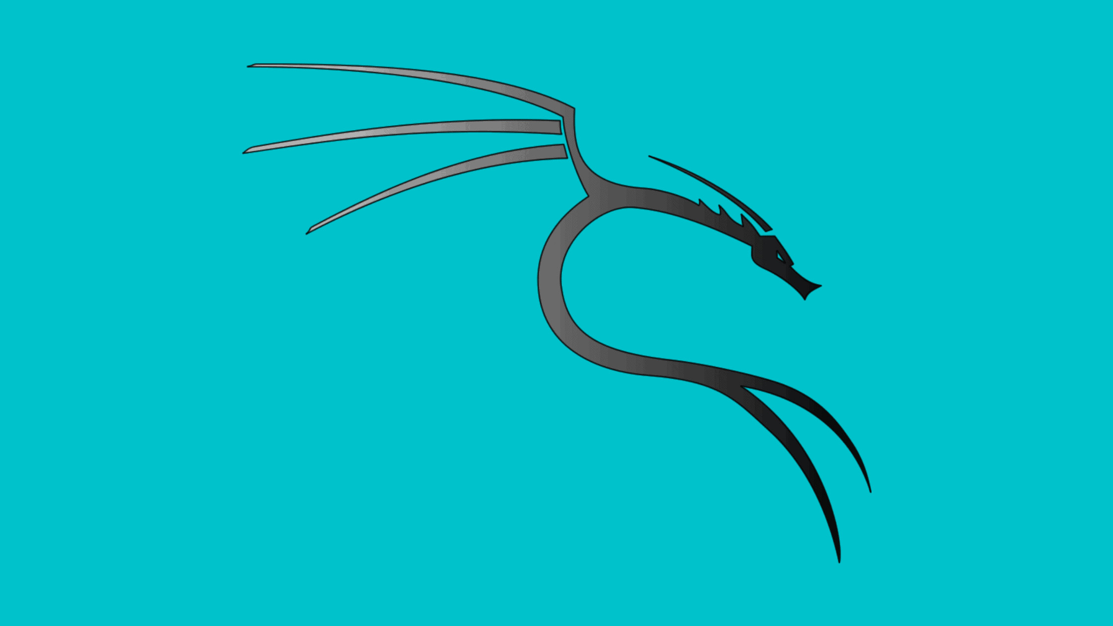 How To Install Visual Studio Code on Kali Linux – Zhe Li How To Install Visual Studio Code on Kali Linux – Zhe Li